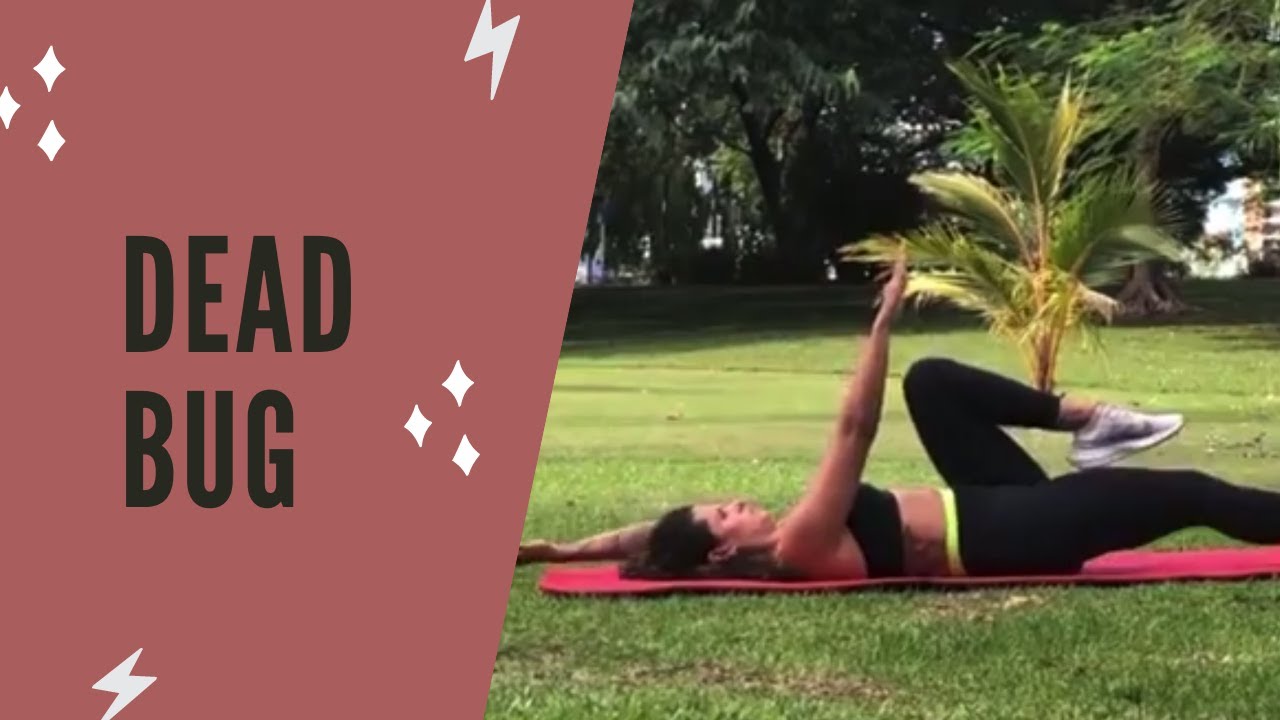 VIDEO ABDOMINAL- Dead bug - Exercício para o Core - YouTube