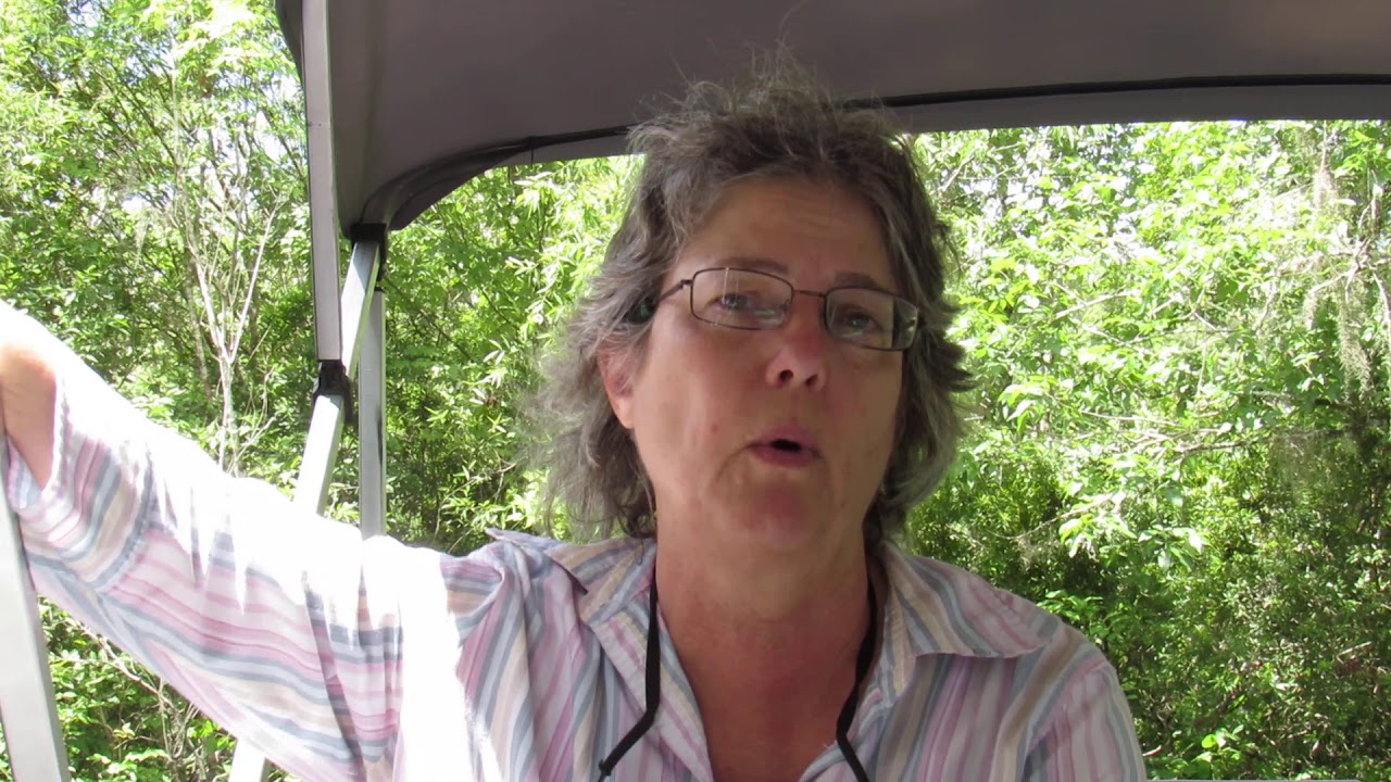 Erika Ritter Cannon Springs Ocklawaha River - YouTube