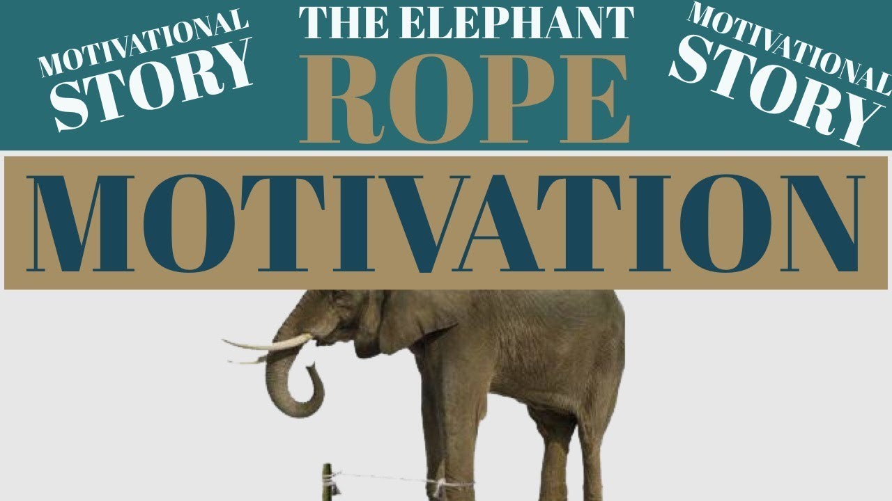 Motivational Story - The Elephant Rope - YouTube