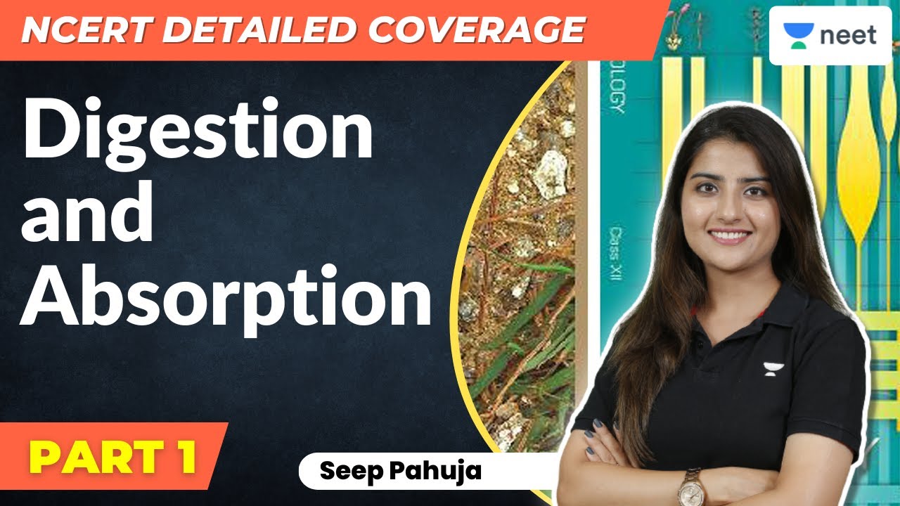 NCERT Detailed Coverage | Digestion & Absorption | Part - 1 | NEET 2023 ...