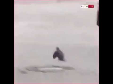 President putin getting salute from bird #amazing - YouTube