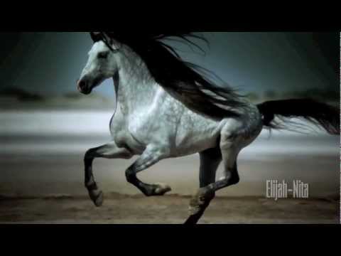 Wild Horses Natasha Bedingfield Music Video