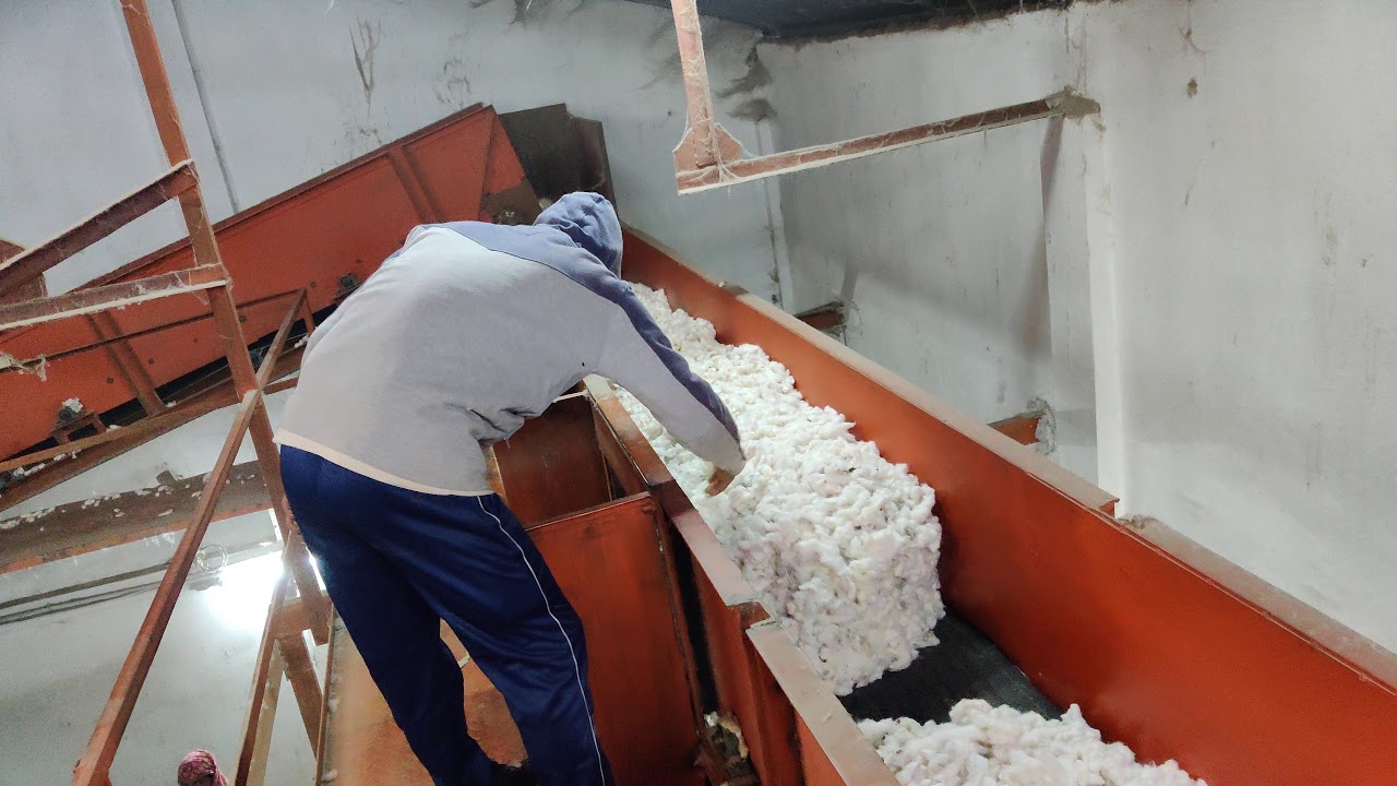 Ginning video-2 - YouTube