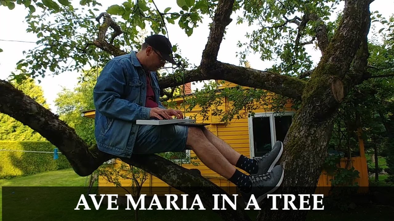 Ave Maria in a Tree - YouTube