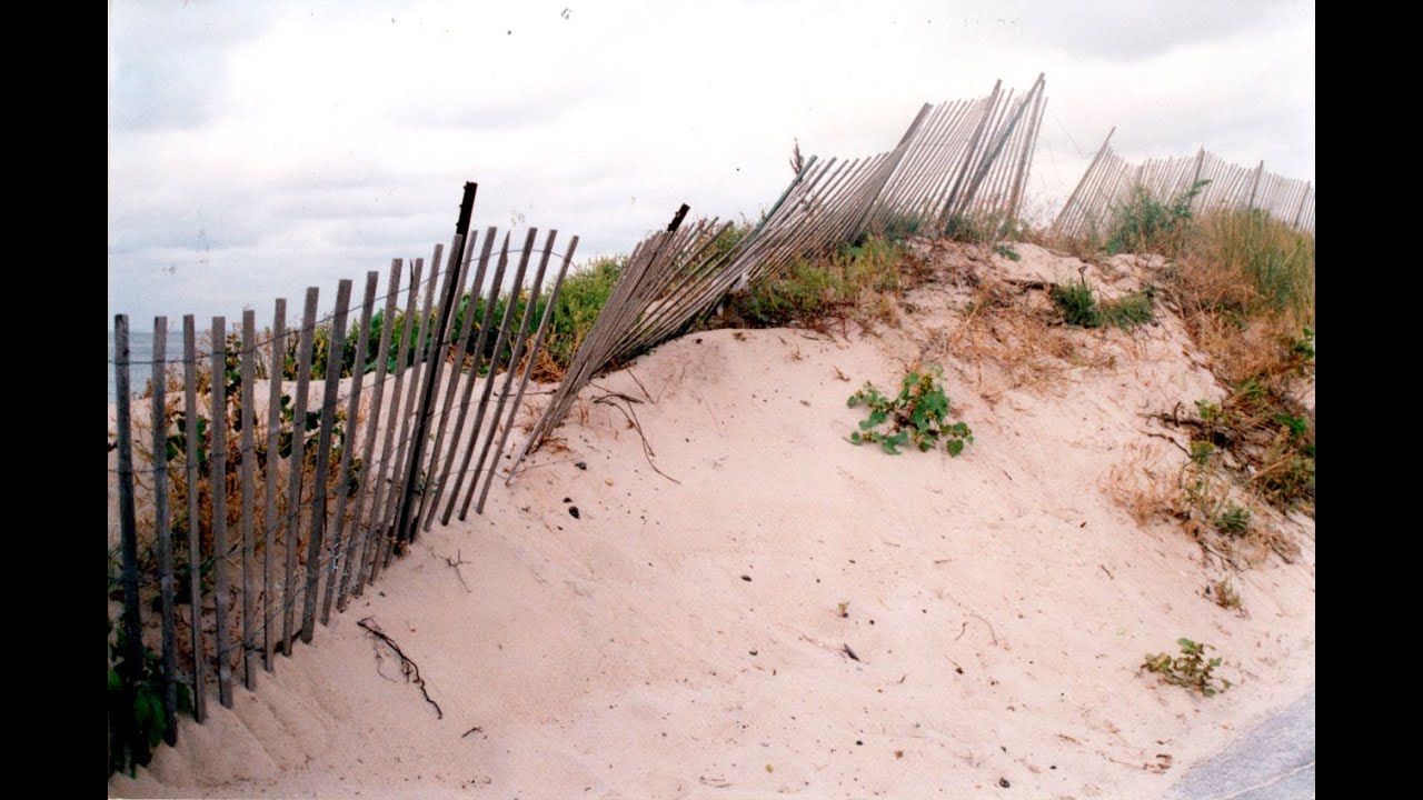 Fencing the Dunes - YouTube