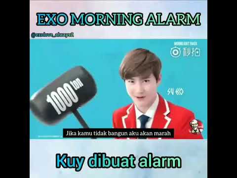 Exo alarm