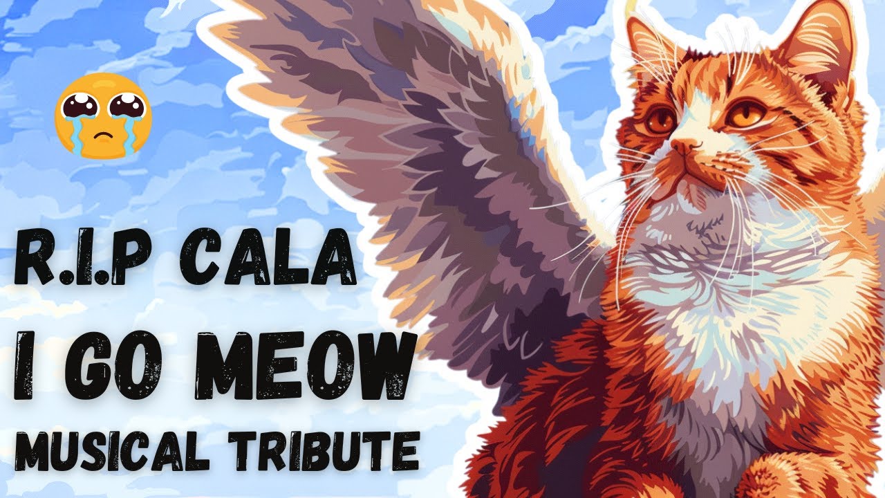 RIP CALA: I Go Meow Cat | Musical Tribute for Singing Cat - YouTube