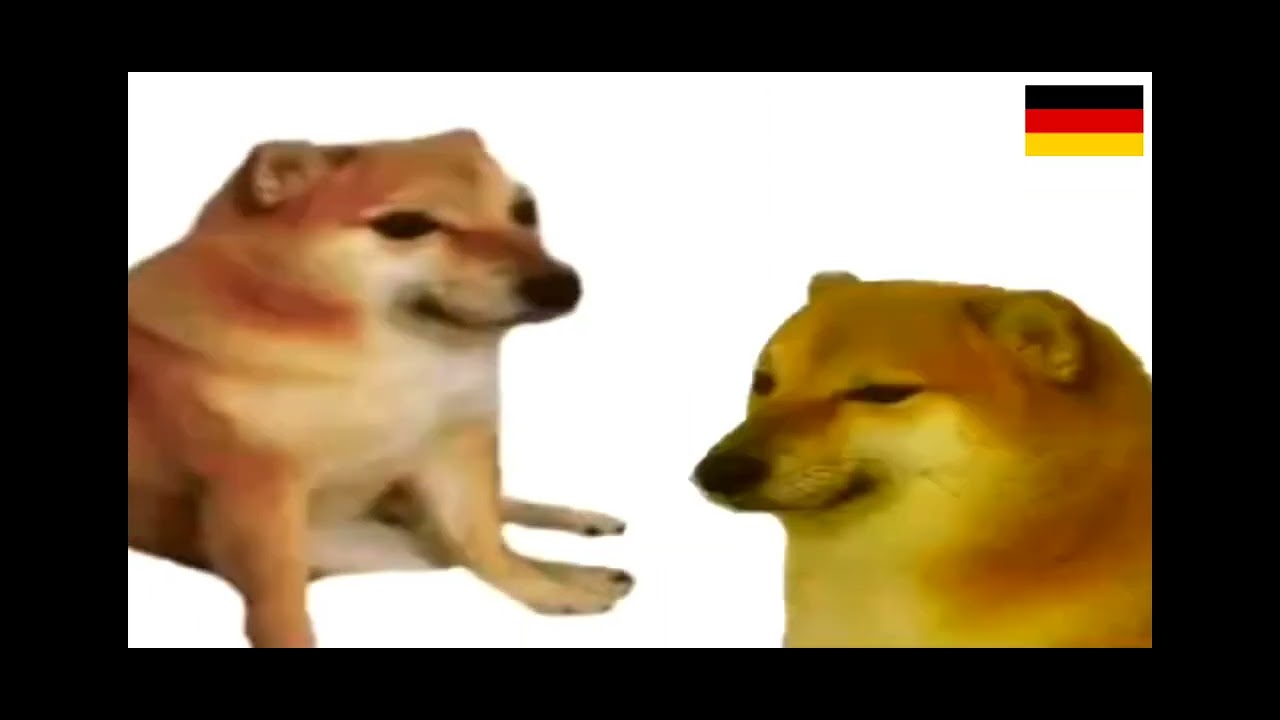 Doge Bonk In Different Languages - YouTube