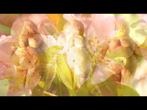 Introduction to the Holy Womb Chakra - YouTube