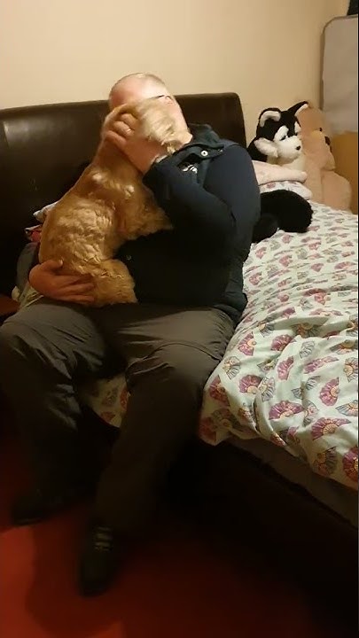 crazy Cocker spaniel so Happy 😊 - YouTube