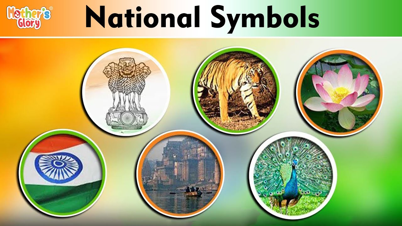 Learn National Symbols of India | National Symbols for Kids | Mother's ...