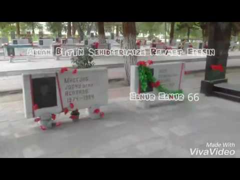 Pranga Qelenfil  (Yevlax)