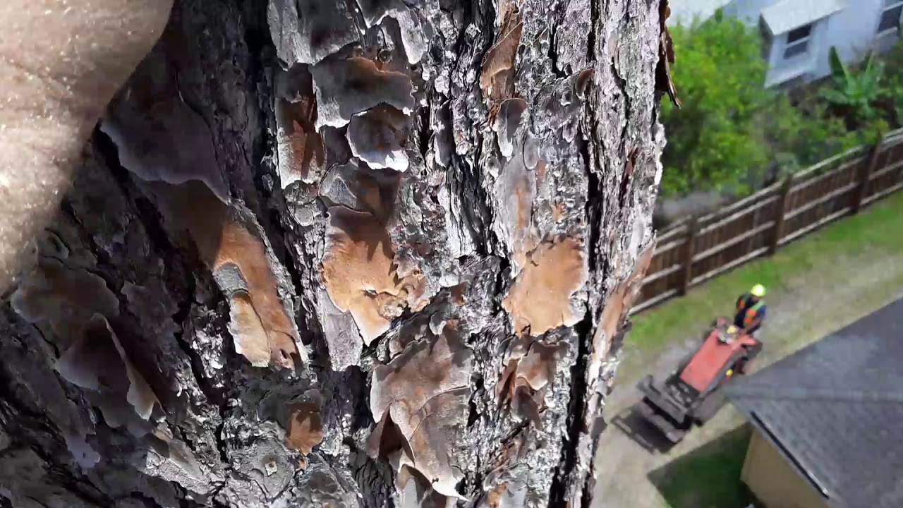 DROPPING BLOCKS @ 65 FT - YouTube