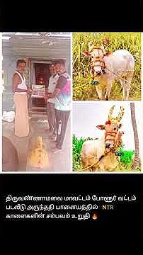 waiting for sunday NTR groups - YouTube