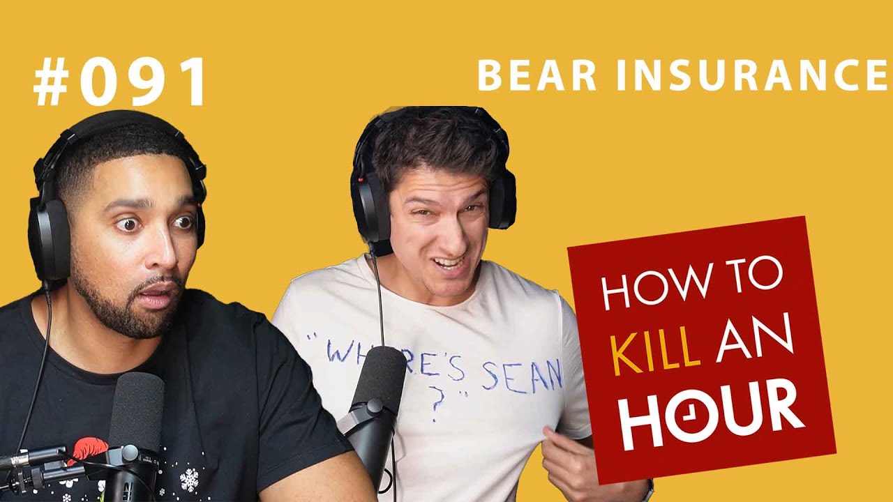 091 - Bear Insurance - YouTube