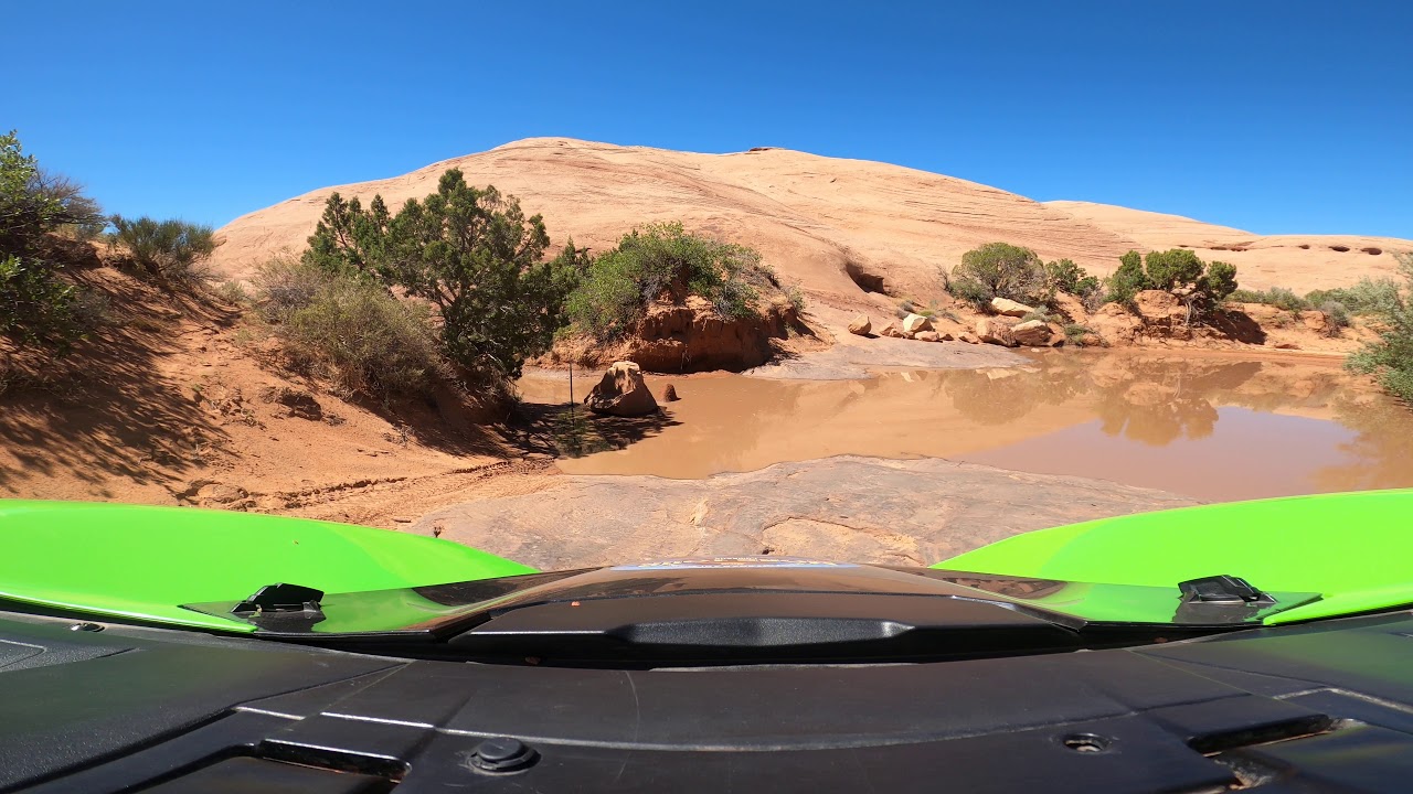 Baby Lions Back Moab Utah 2020 - YouTube