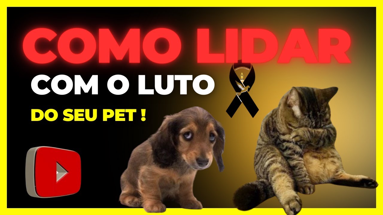 Como lidar com o luto dos Pets ! Seu pet também entra em luto pelo ...