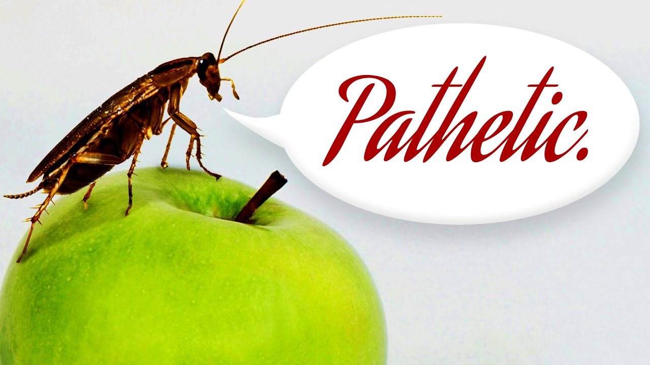 [ASMR] SCP-8595: "Everyone's a Critic" - A Binaural SCP Reading - YouTube