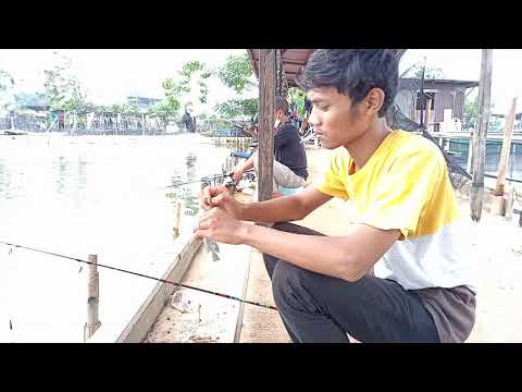 MANCING JAER NILA PRKILO 40.RIBU..