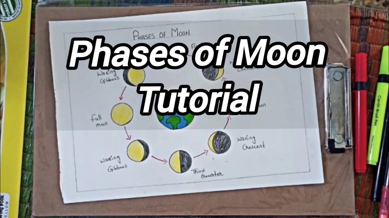 How to Draw Phases of Moon|science Drawing|10th class science#videos# ...