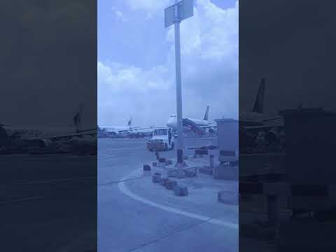 Cargo Planes | Maskargo A 330 | Singapore  B 747 | Ethiopian B 737 | SF B 767 | Chennai Airport