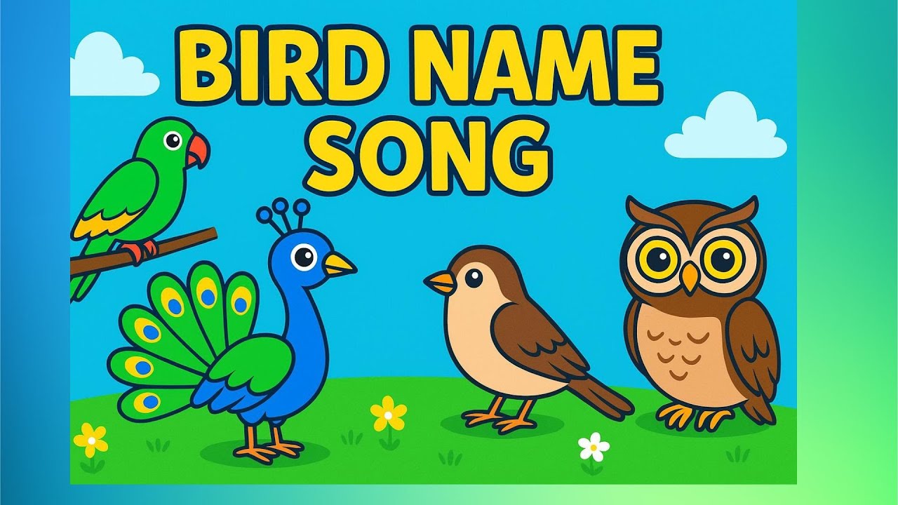 Bird Name Song for Kids | Learn Birds with Fun Rhymes | Toddler Animal ...