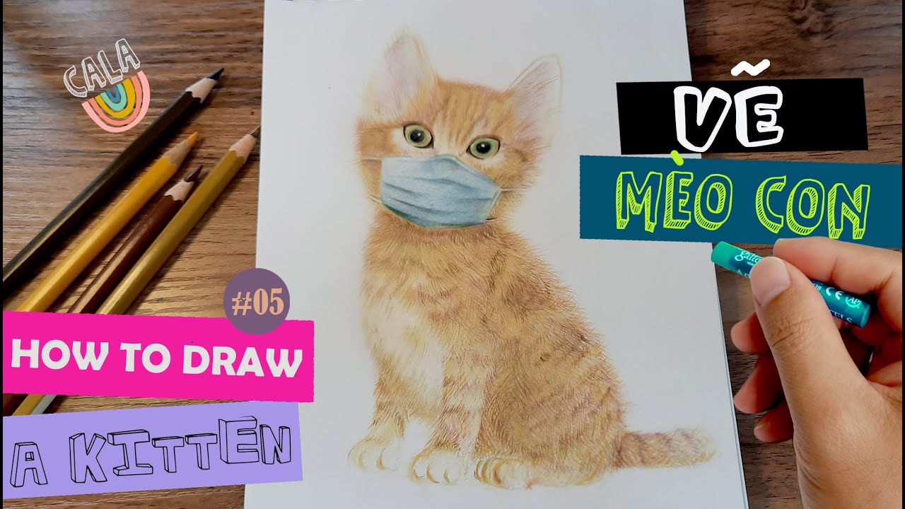 How to draw a cute cat with color pencils | Vẽ CON MÈO dễ thương, vẽ ...