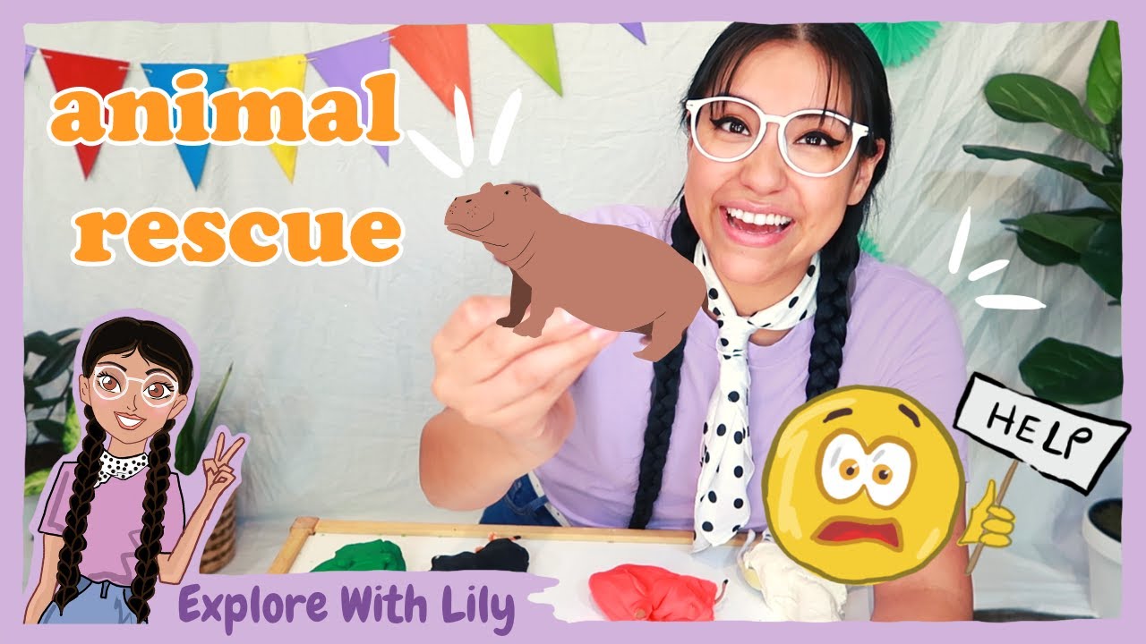 ANIMAL RESCUE #2 // Learning Animals for Toddler and Preschoolers ...