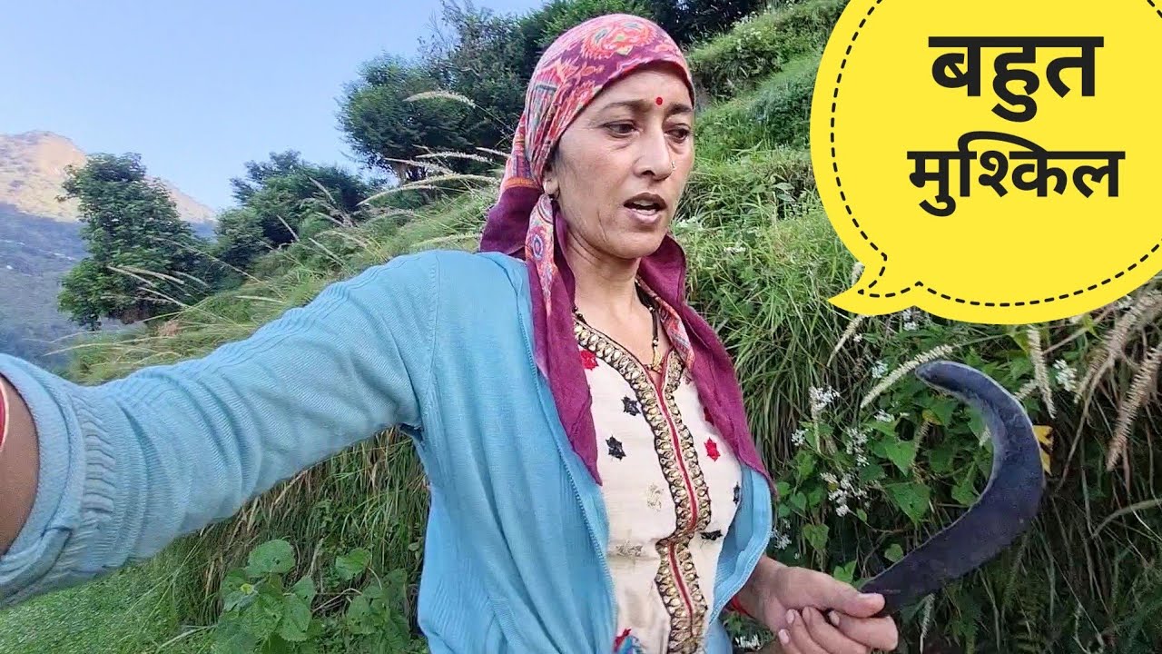 आजकल बहुत आफत आ रही ||Pahadi Lifestyle Vlog ||Pushpa Rawat Vlogs || - YouTube