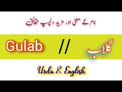 GULAB name meaning in Urdu, GULAAB nam ka matlab kiya hai - YouTube