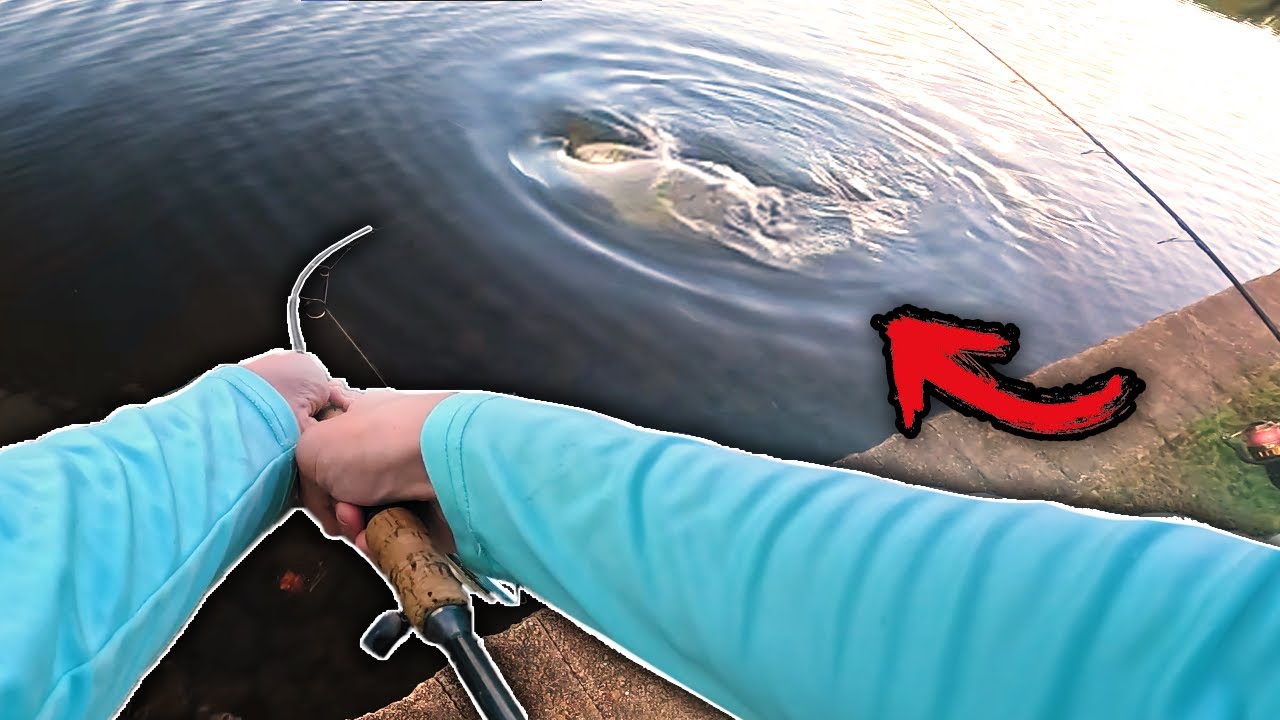 I Hooked A MONSTER on a BROKEN ROD... (Pond Fishing) - YouTube