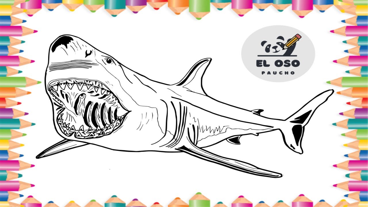 Dibujando a un tiburón - Drawing a shark - YouTube