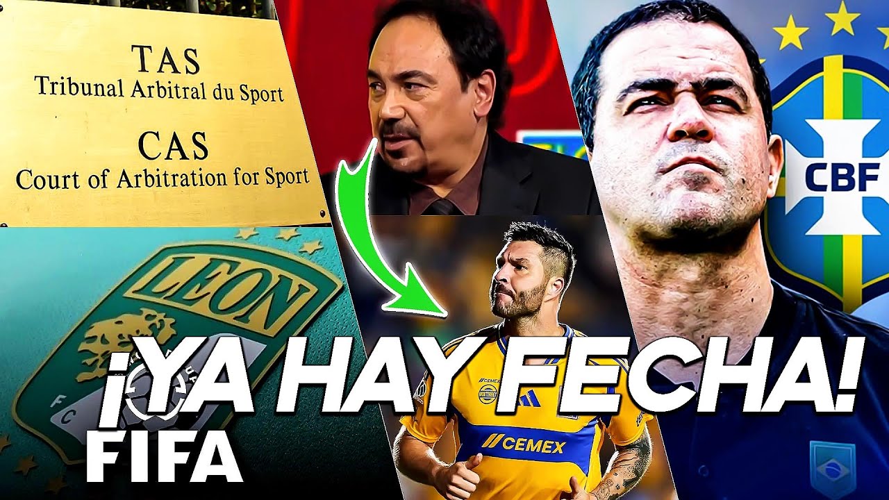 la VERDAD de la LLEGADA de JARDINE a BRASIL | manda a CALLAR a GIGNAC ...