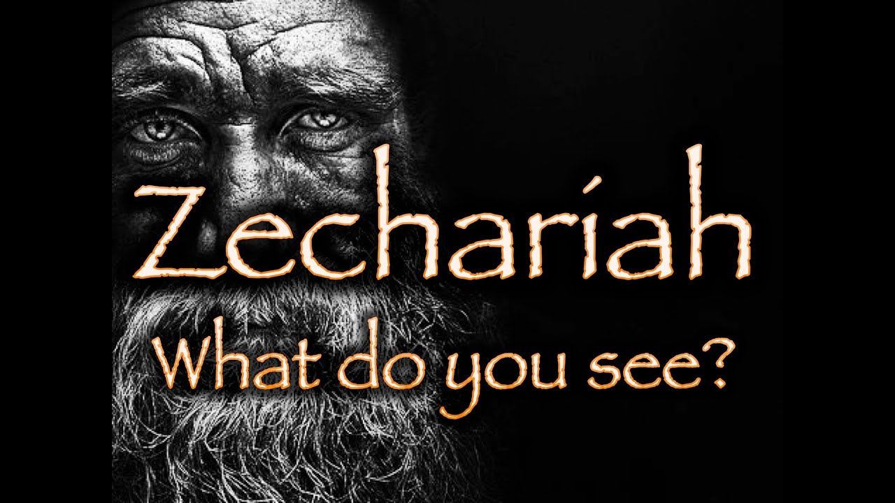 Zechariah 5 Prophecy - Paul Franklin - YouTube