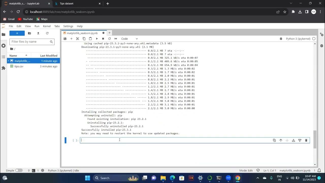 matplotlib and seaborn Introduction and tips dataset Part 1 - YouTube