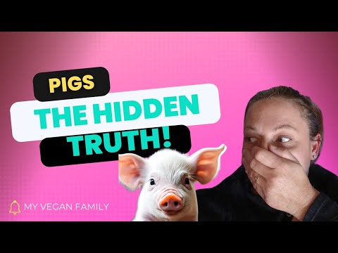 Cruelty in Pig Farms! what do they do?