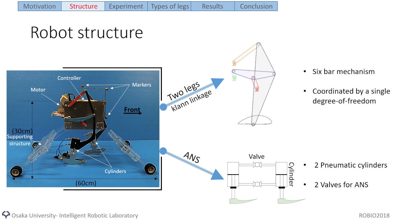 A Bipedal Robot with an Energy Transfer Mechanism between Legs - YouTube