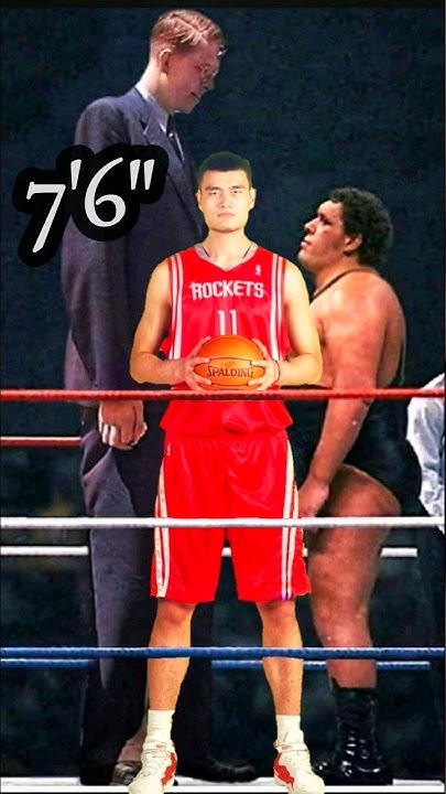 YAO MING ANDRE THE GIANT AND ROBERT WADLOW FACE TO FACE #shorts - YouTube