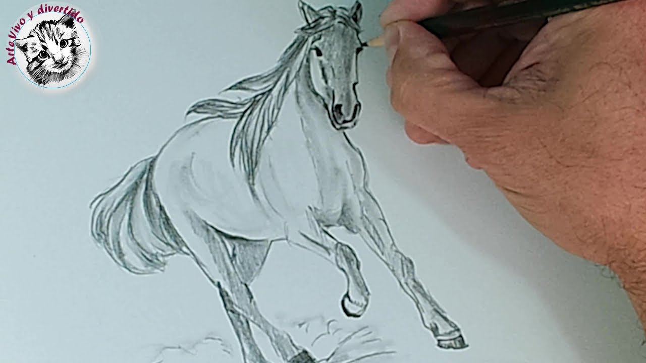 Cómo Dibujar un Caballo a Lápiz Paso a Paso y muy Fácil - YouTube