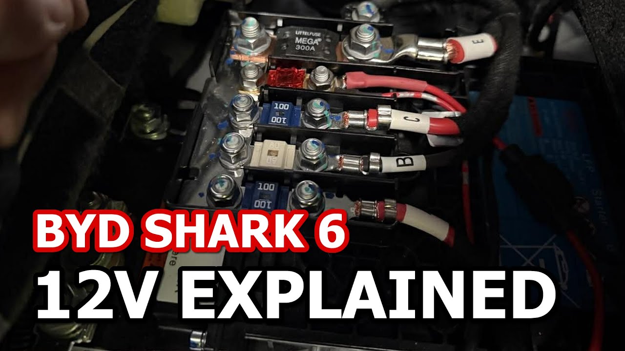 BYD Shark 12V System: How does it charge and what's really going on ...