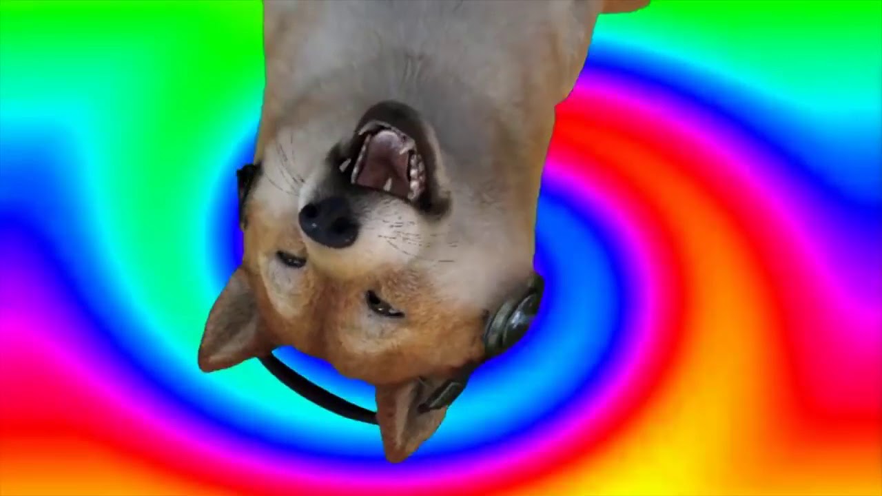 Russian Doge НАРЕЗКА СО СТРИМА DOGE CSGO OF DOG Streeam Doge Streamer ...