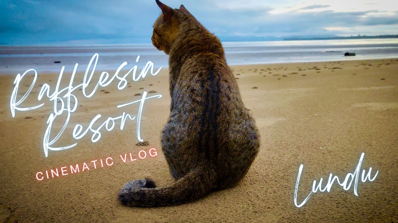 Cinematic VLOG | Rafflesia Resort, Lundu Sarawak (Shot on Poco X3 Pro) - YouTube