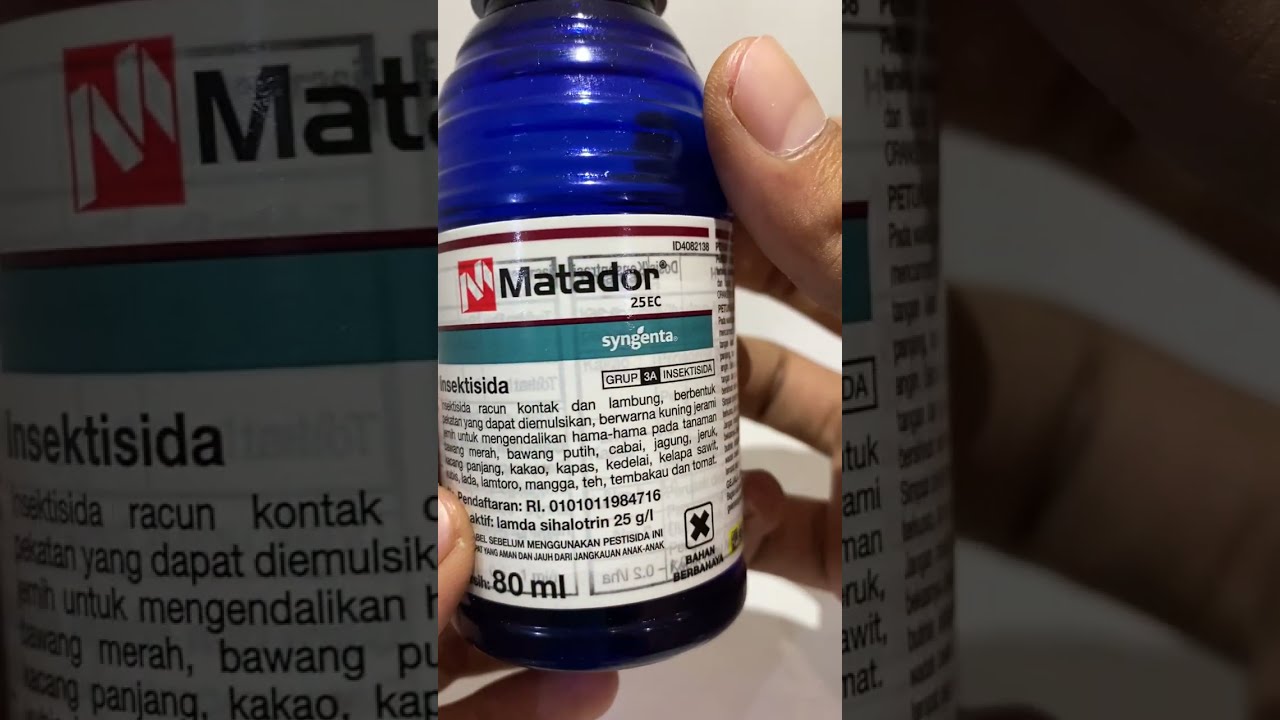 MATADOR 25 EC, Insek Spektrum Luas 🌶🌽🧅 🌴🍅 Obat Segala Jenis Hama Ulat ...
