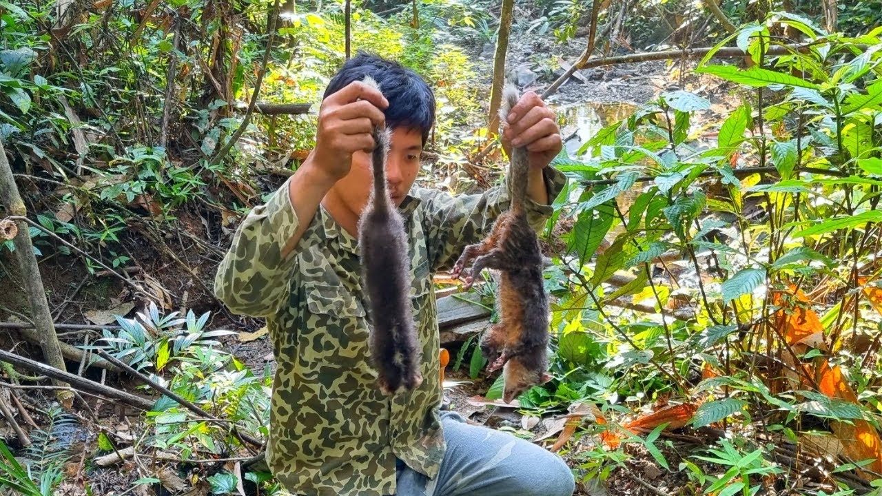 craft some rudimentary traps to place civet bowls, born from the forest ...