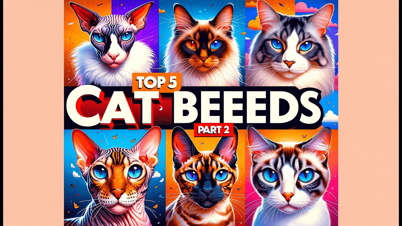 Fascinating Felines: A Journey Through the World's 5 Most Interesting ...