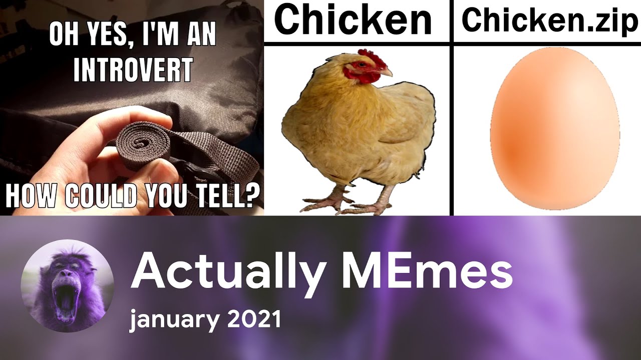 Best memes from January 2021 - Actually good - YouTube
