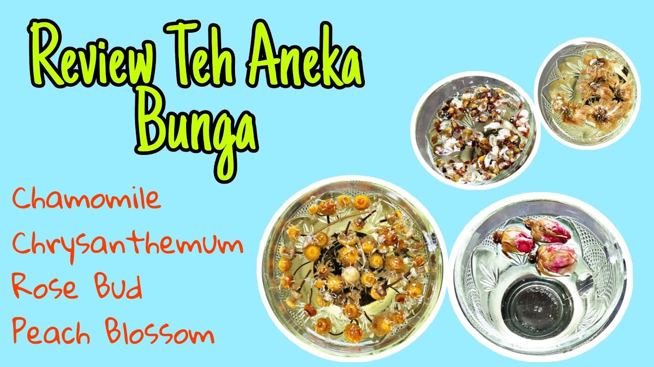 MINUM TEH RASA BUNGA (Review Minuman Unik) - YouTube