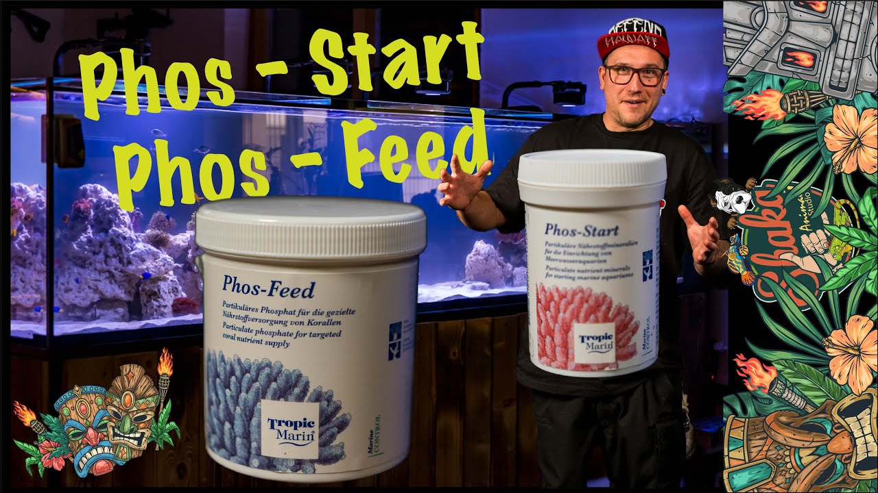 Phos Start Phos Feed Tropic Marin Alles für dein Riff Aquarium - YouTube