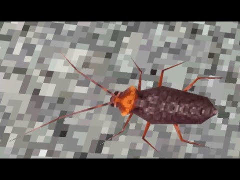 Eating the Bugs in Voices of the Void - YouTube