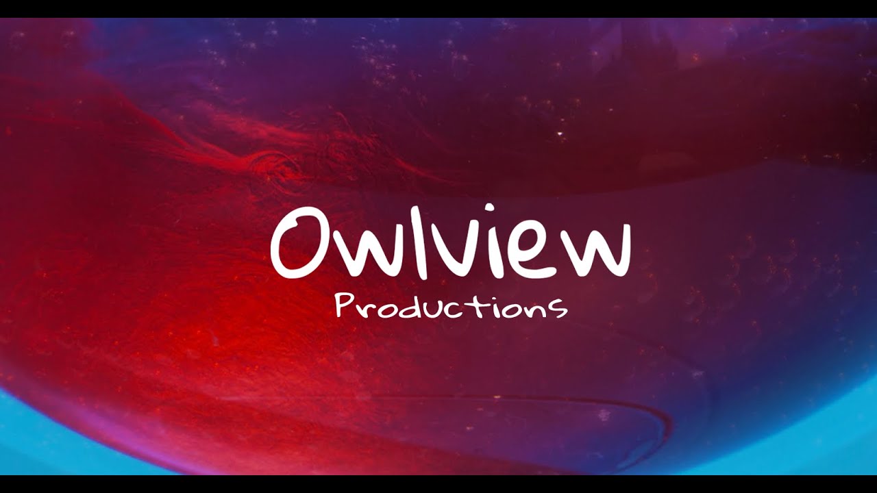 Video | Owlview